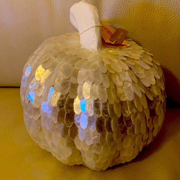 Holiday | New Unique Wow Beautiful Pumpkin Covered Iridescent Capiz ...